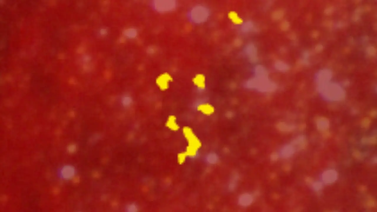 Animation of an Emerging Star Cluster in WLM Dwarf Irregular Galaxy ...