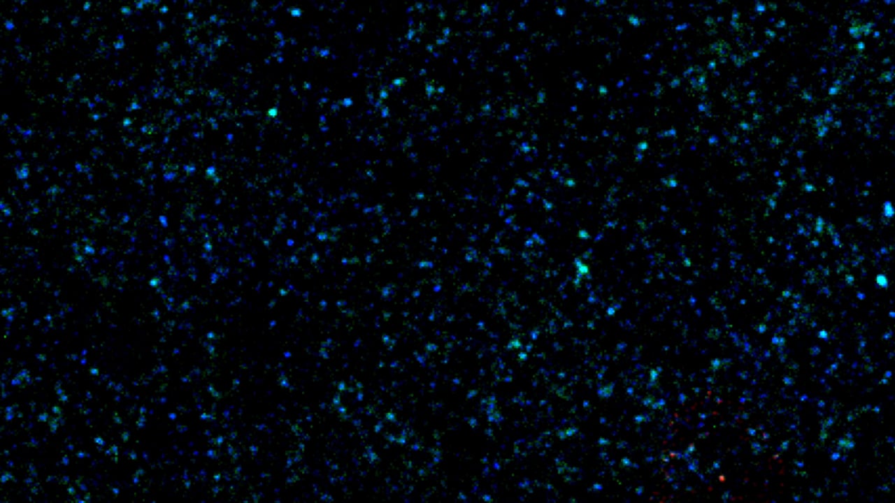 Merging galaxies in the early universe captured with ALMA. | ALMA ...